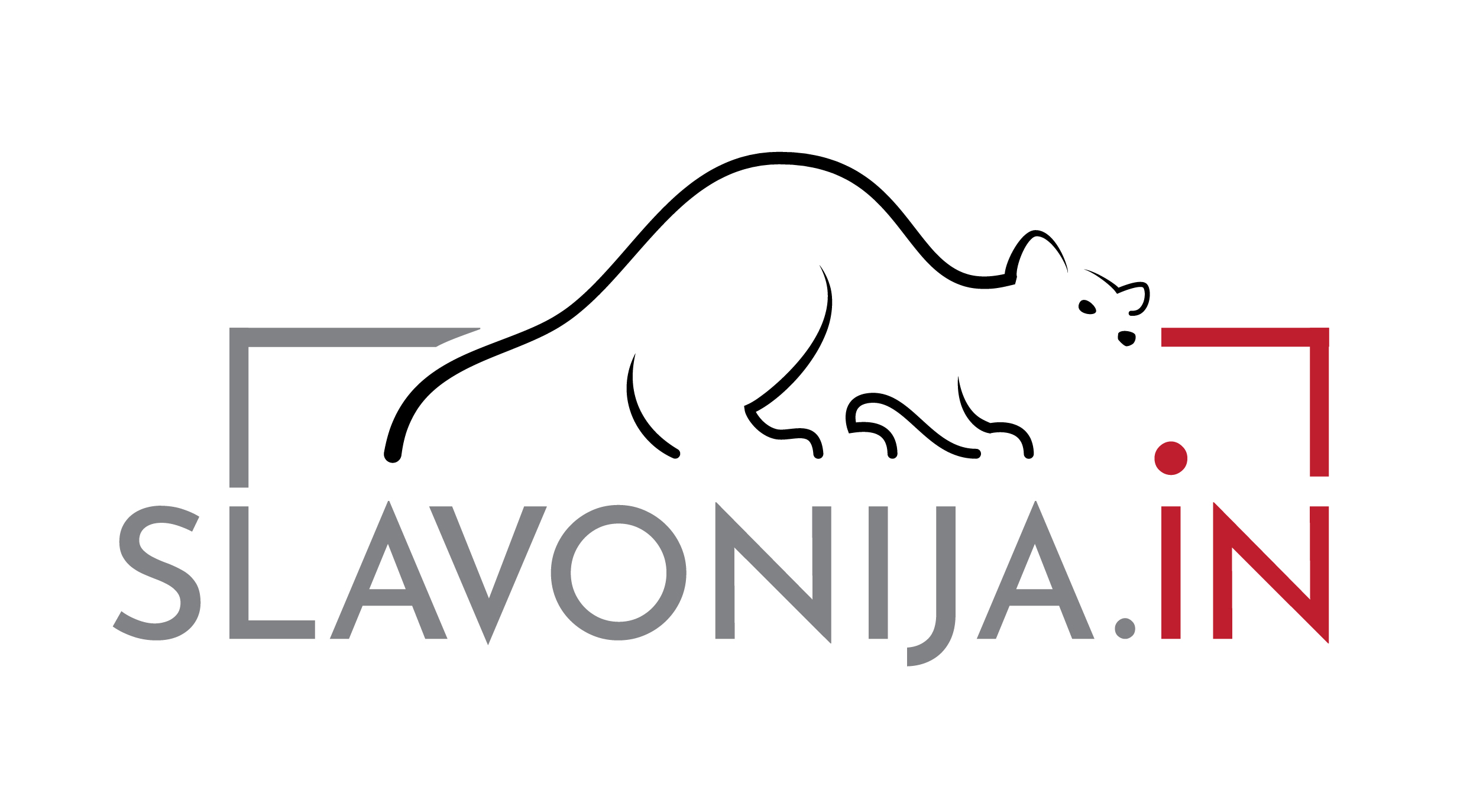 Slavonija usred Slavonskog Broda osvojila naslov prvaka: pobjedom ...